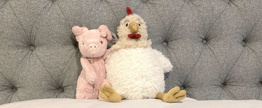 New Jellycat 2021 | Spring Launch | jellycentral.co.uk